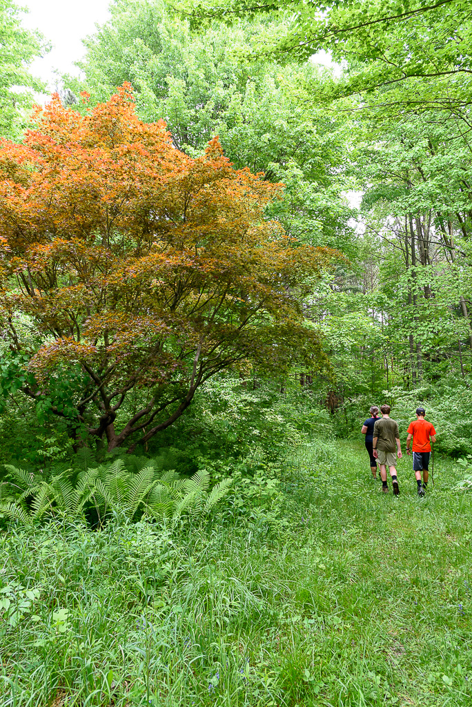 Trail Safety - Indiana Dunes National Park (U.S. National Park Service)