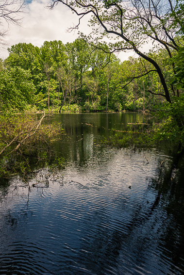 Pinhook Bog Trails - Indiana Dunes National Park (U.S. National Park ...