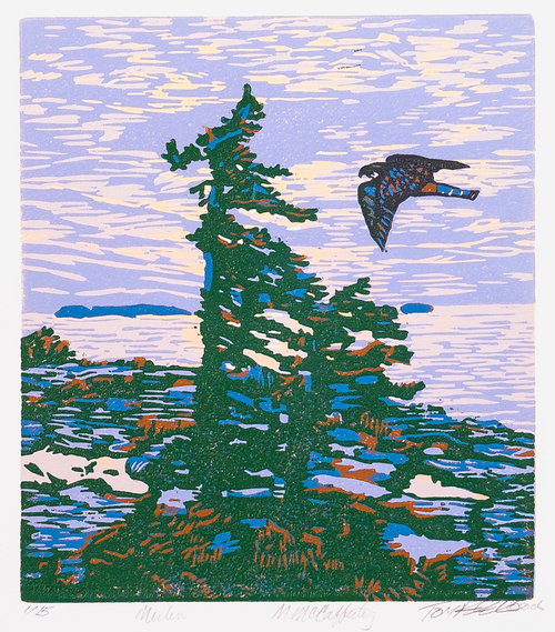 AIR Rudd and McCafferty '05 - Isle Royale National Park (U.S. National ...