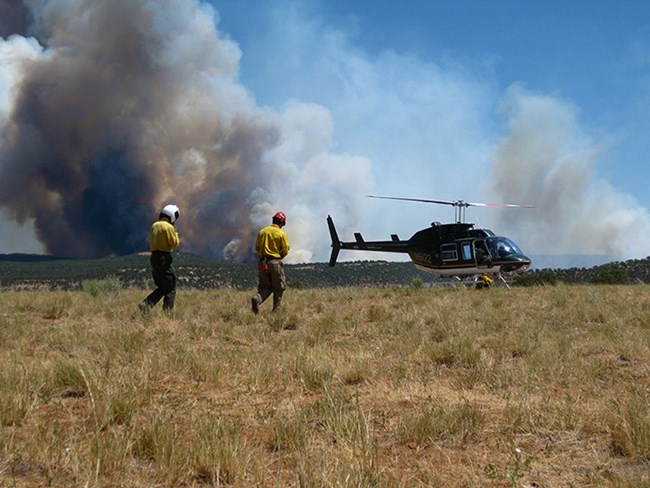 Wildland Fire Additional Resources (U.S. National Park Service)