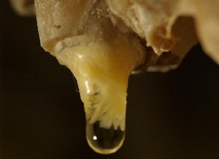 Formations of Jewel Cave - Jewel Cave National Monument (U.S. National ...