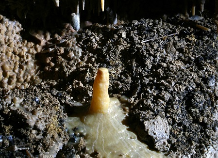 Formations of Jewel Cave - Jewel Cave National Monument (U.S. National ...