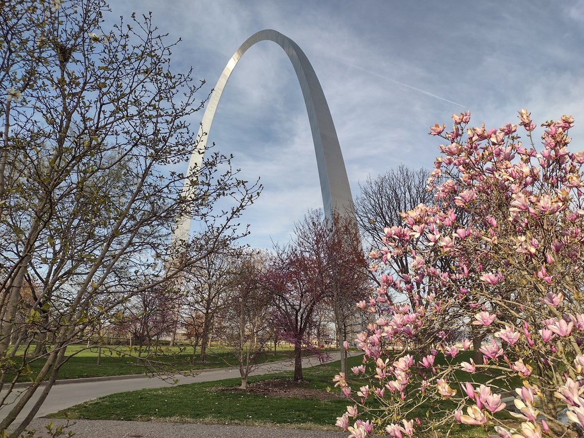 Plants - Gateway Arch National Park (U.S. National Park Service)