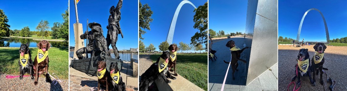 Pets - Gateway Arch National Park (U.S. National Park Service)