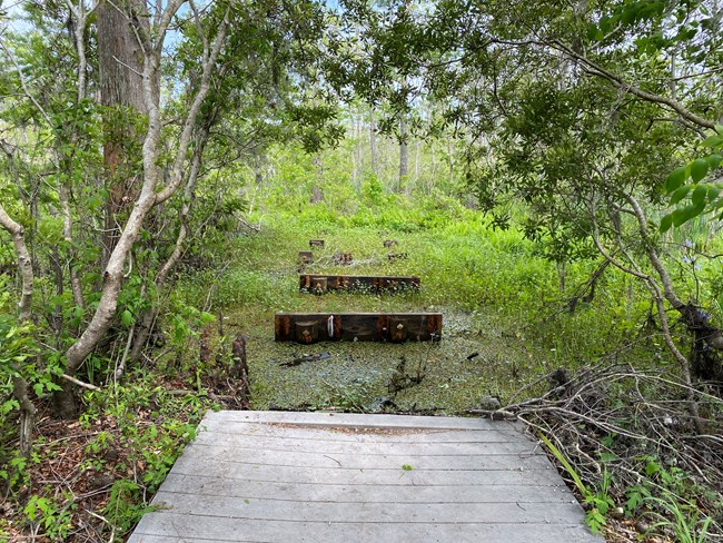 Park Projects - Jean Lafitte National Historical Park and Preserve (U.S ...