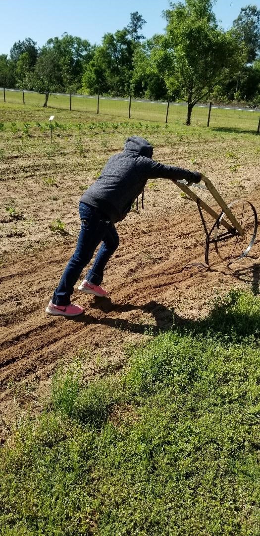 Guided Tours - Jimmy Carter National Historical Park (U.S. National ...