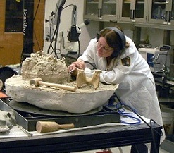 Paleontology - John Day Fossil Beds National Monument (U.S. National ...
