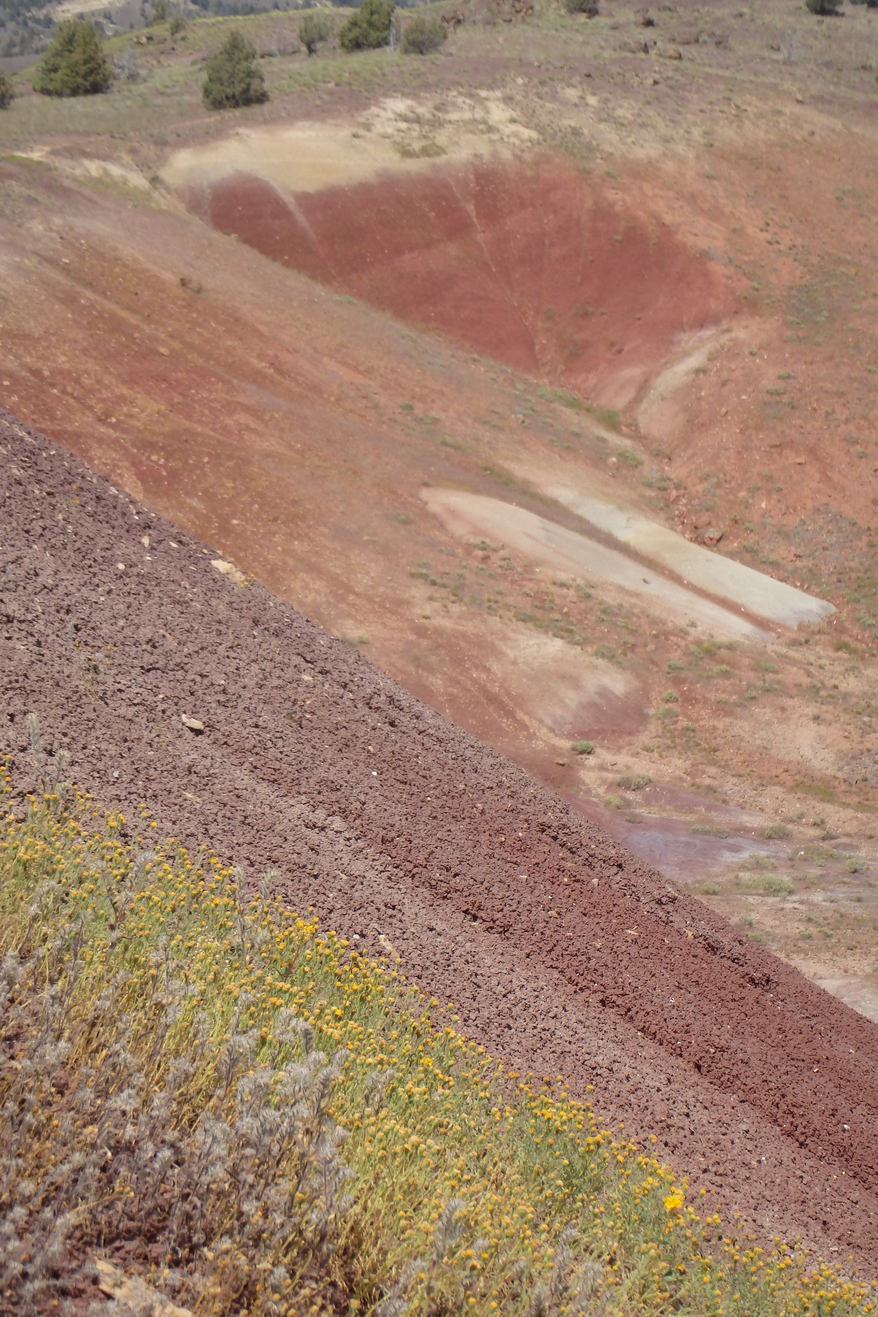 Clarno Formation - John Day Fossil Beds National Monument (U.S ...