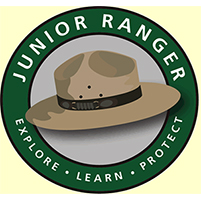 Virtual Junior Ranger Program - Joshua Tree National Park (U.S ...