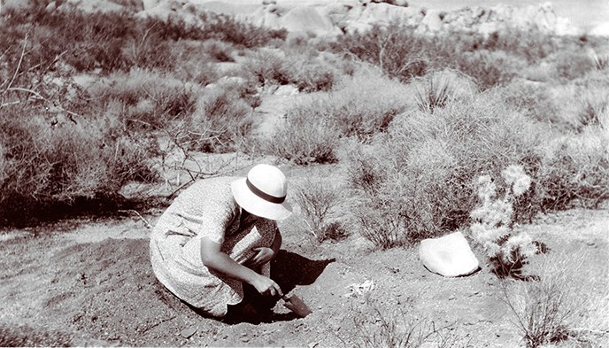 Elizabeth Campbell - Joshua Tree National Park (U.S. National Park Service)