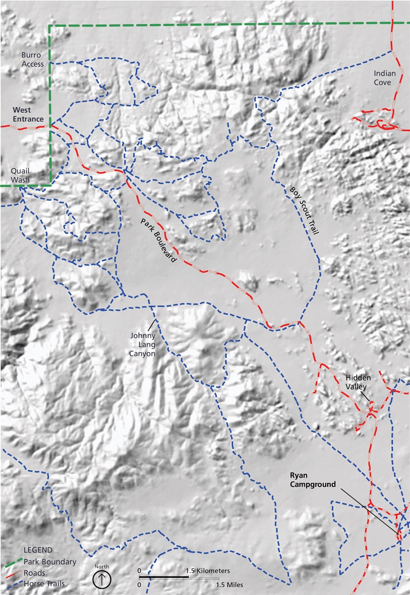 Horseback Riding - Joshua Tree National Park (U.S. National Park Service)