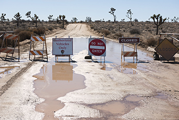 Floods - Joshua Tree National Park (U.S. National Park Service)