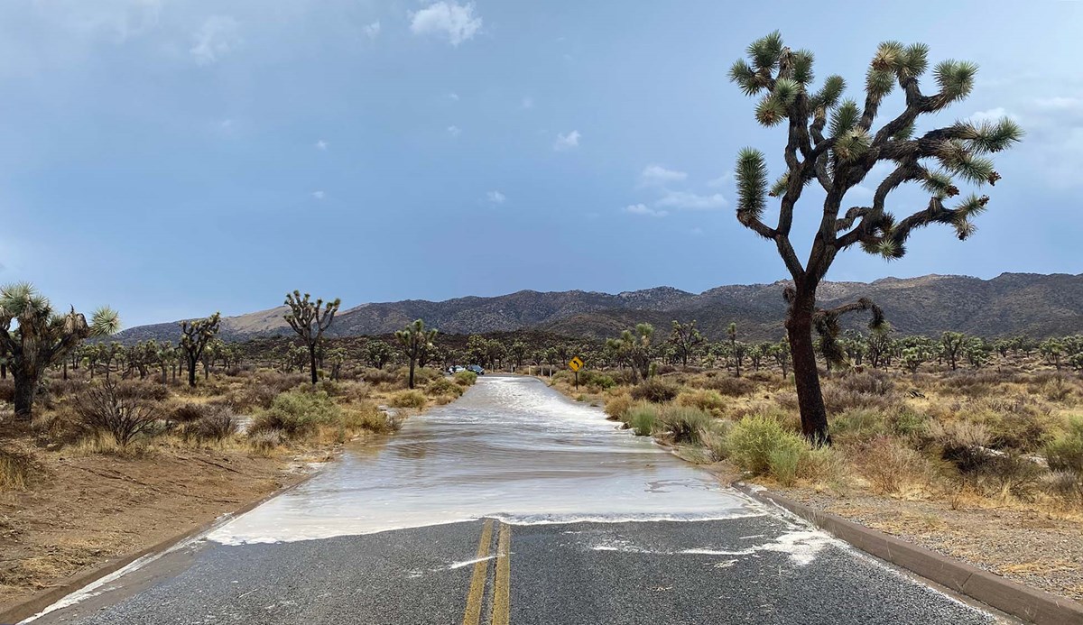 Floods - Joshua Tree National Park (U.S. National Park Service)