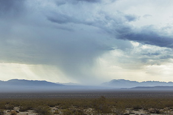 Floods - Joshua Tree National Park (U.S. National Park Service)