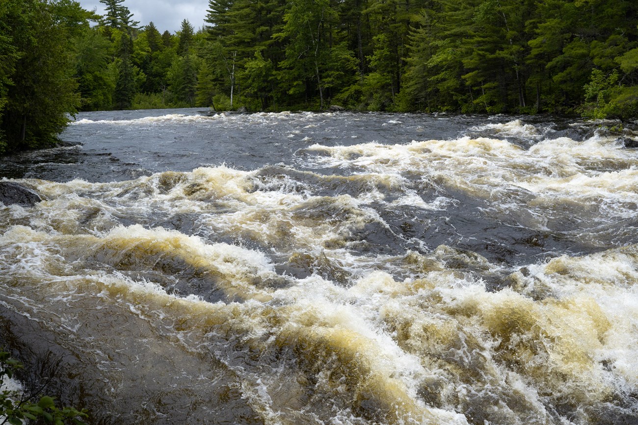 Pond Pitch - Katahdin Woods and Waters National Monument (U.S. National ...