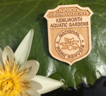 Ranger Programs - Kenilworth Park & Aquatic Gardens (U.S. National Park ...