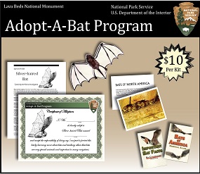 Bats - Lava Beds National Monument (U.S. National Park Service)