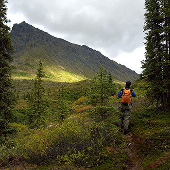 Visit Richard Proenneke's Cabin - Lake Clark National Park & Preserve ...