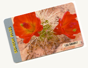 Fees & Passes - Lake Mead National Recreation Area (U.S. National Park ...