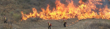 Fire Management - Lake Meredith National Recreation Area (U.S. National ...