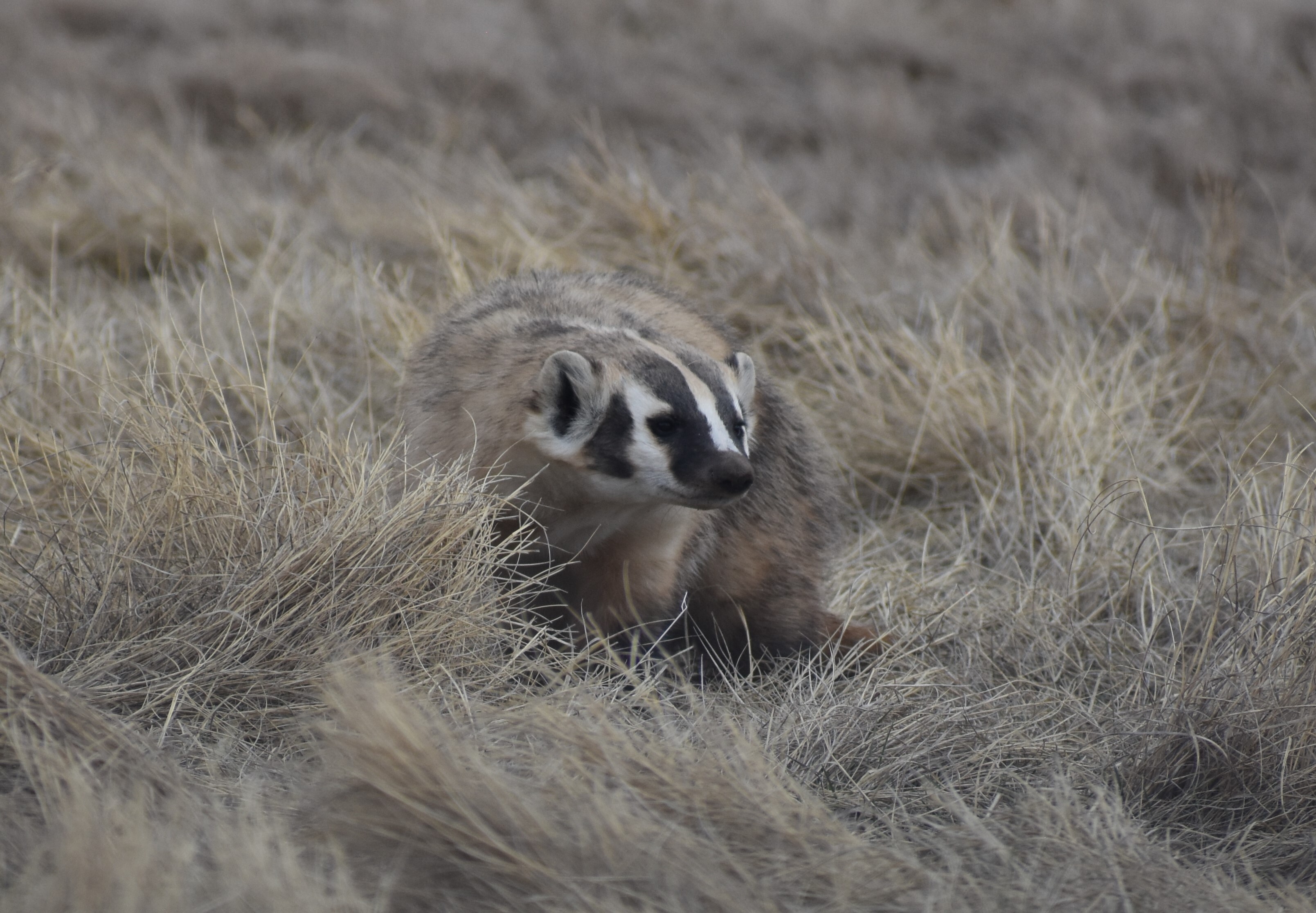 Channeled Scablands - Lake Roosevelt National Recreation Area (U.S ...