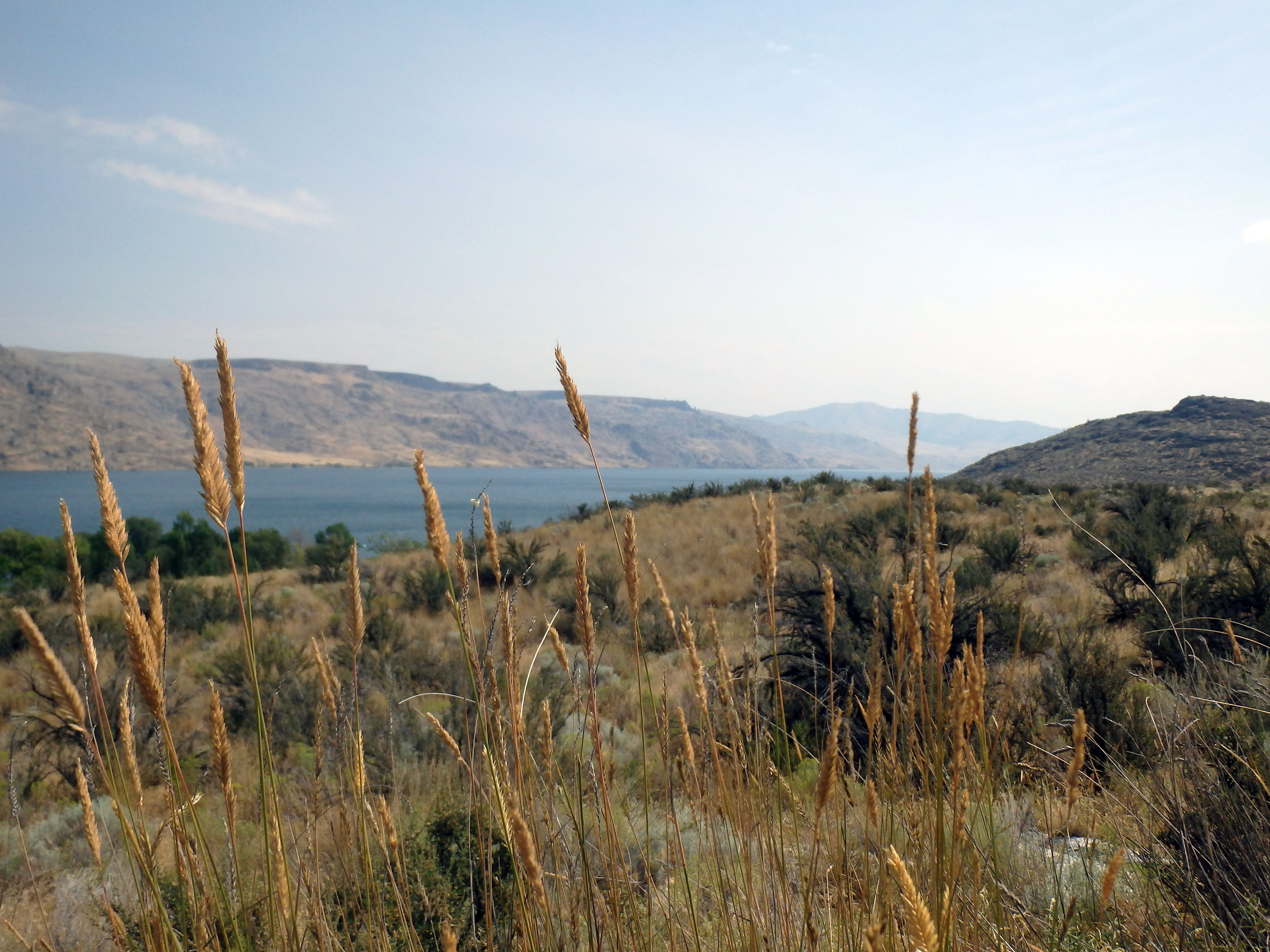 Channeled Scablands - Lake Roosevelt National Recreation Area (U.S ...