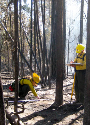 Fire Effects - Lassen Volcanic National Park (U.S. National Park Service)