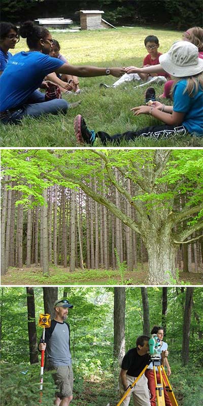 Sustainability - Marsh - Billings - Rockefeller National Historical ...