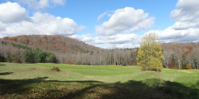 Support Your Park - Marsh - Billings - Rockefeller National Historical ...