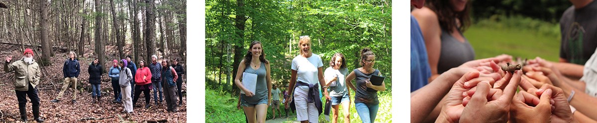 A Forest for Every Classroom - Marsh - Billings - Rockefeller National ...