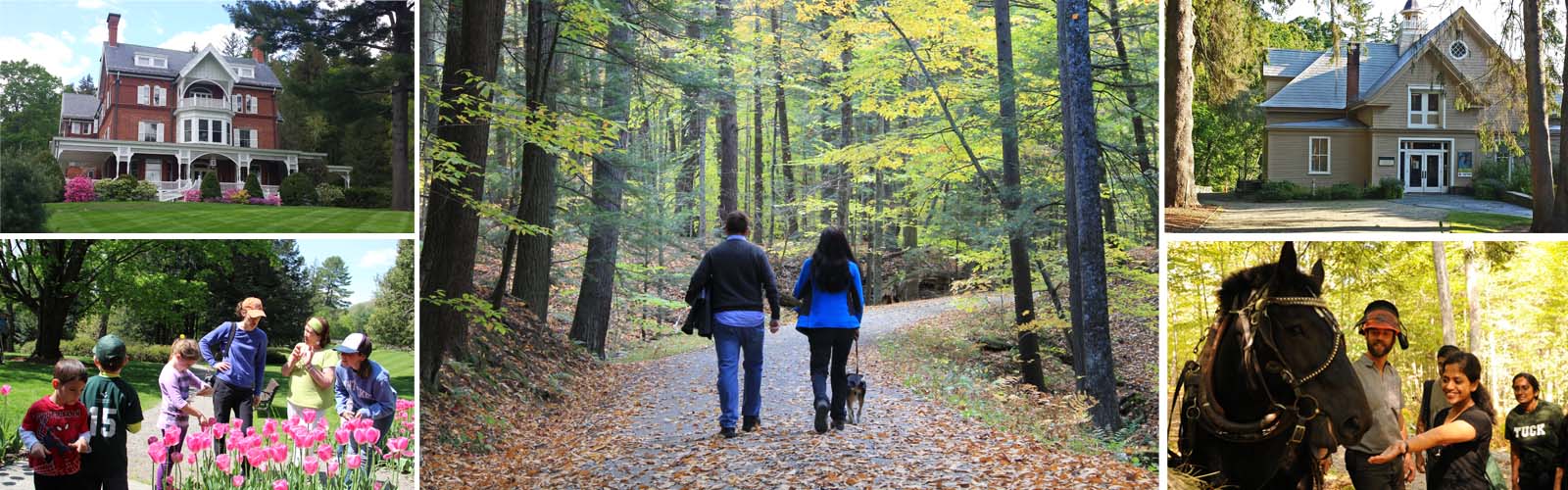 Places To Go - Marsh - Billings - Rockefeller National Historical Park ...