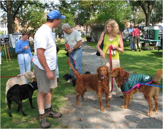 Hiking With Dogs - Walk Woodstock - Marsh - Billings - Rockefeller ...