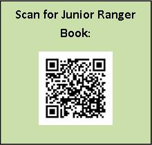 Hike 1 Junior Ranger Loop - Marsh - Billings - Rockefeller National ...