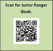 Hike 1 Junior Ranger Loop - Marsh - Billings - Rockefeller National ...
