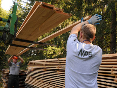 Forest Festival - Marsh - Billings - Rockefeller National Historical ...