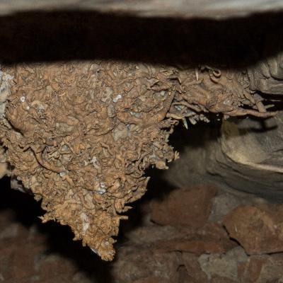 Stalactites, Stalagmites, and Cave Formations - Mammoth Cave National ...