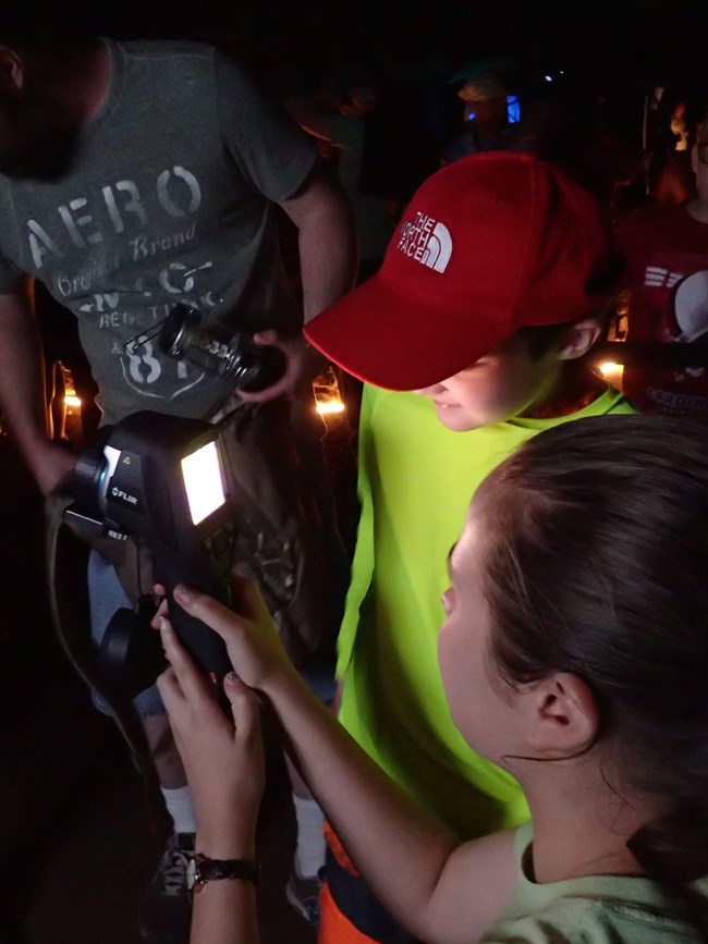 Bat Night - Mammoth Cave National Park (U.S. National Park Service)