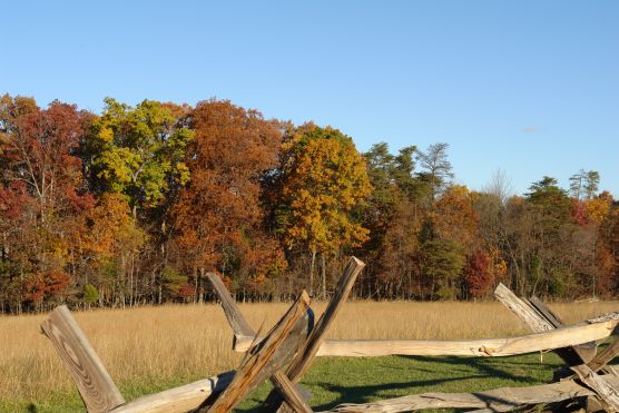 Land Use History - Manassas National Battlefield Park (U.S. National ...