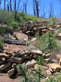 Cedar Tree Tower - Mesa Verde National Park (U.S. National Park Service)