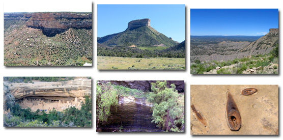 Natural Features & Ecosystems - Mesa Verde National Park (U.S. National ...