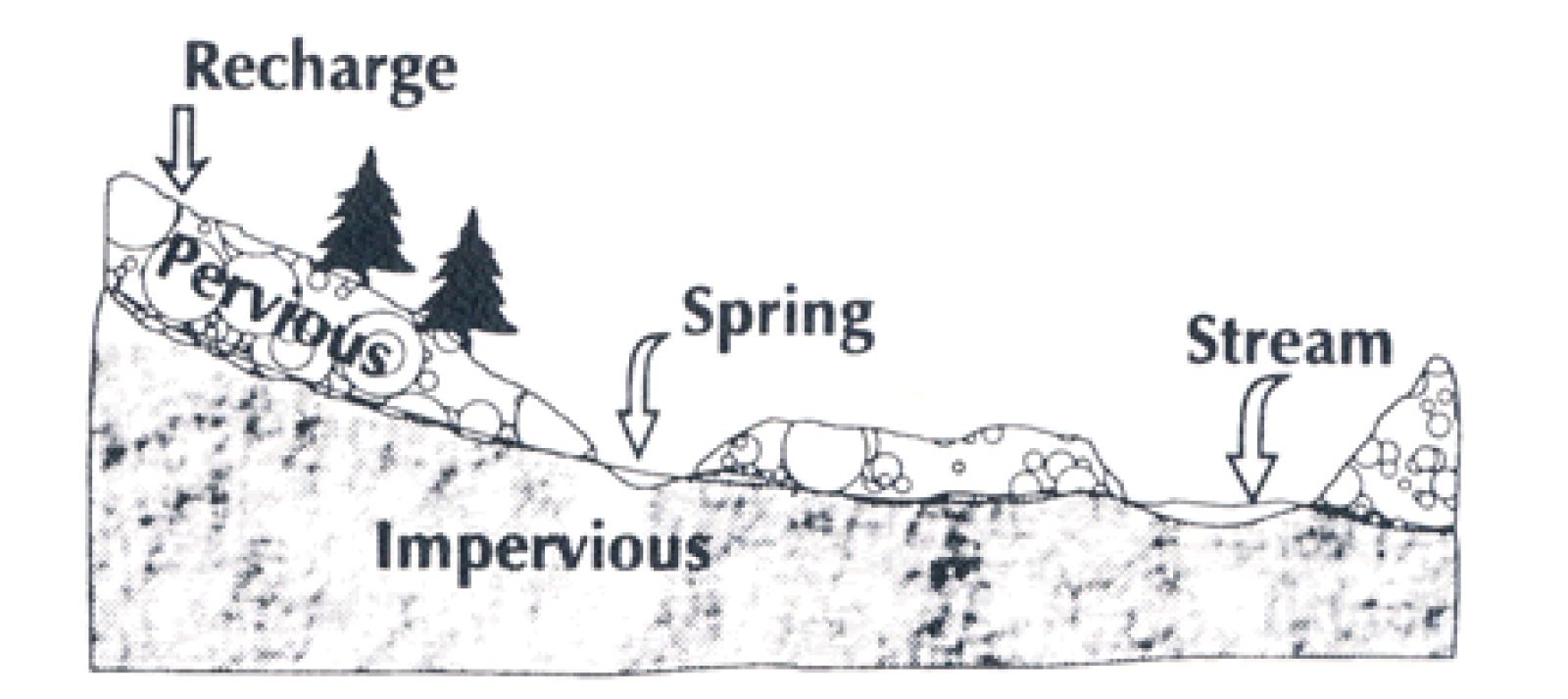 Coldwater Spring Restoration - Mississippi National River & Recreation ...