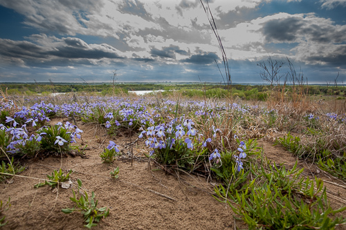 Grey Cloud Dunes Scientific and Natural Area - Mississippi National ...