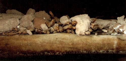 Inside Montezuma Castle: Construction - Montezuma Castle National ...