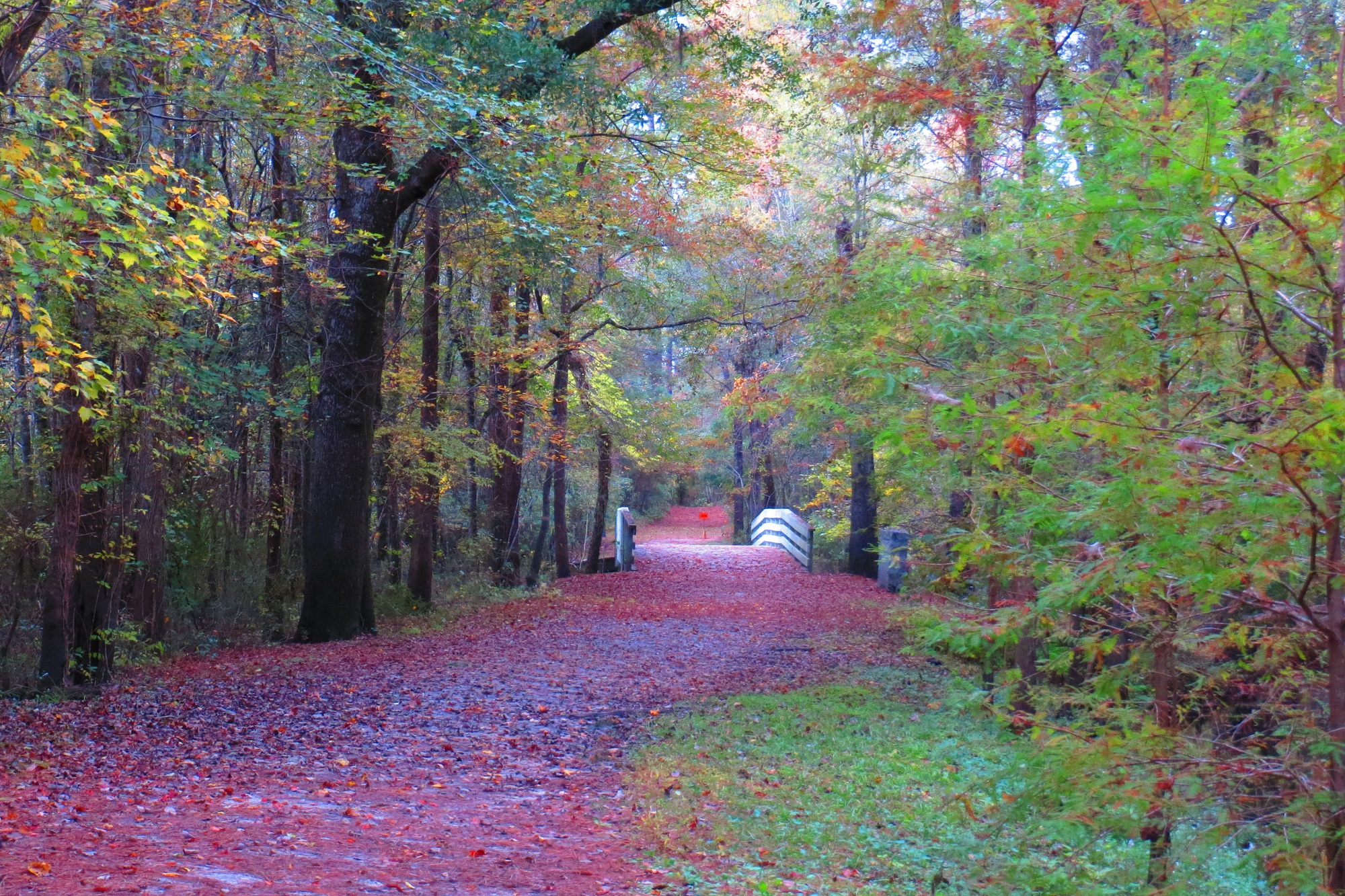 Online Virtual Tour - Moores Creek National Battlefield (U.S. National ...