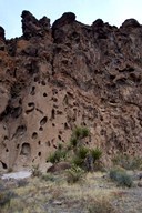 Park Fun - Mojave National Preserve (U.S. National Park Service)