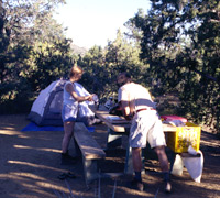 Black Canyon Road & Cedar Canyon Road - Mojave National Preserve (U.S ...
