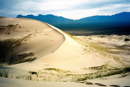 Mojave Wilderness - Mojave National Preserve (U.S. National Park Service)