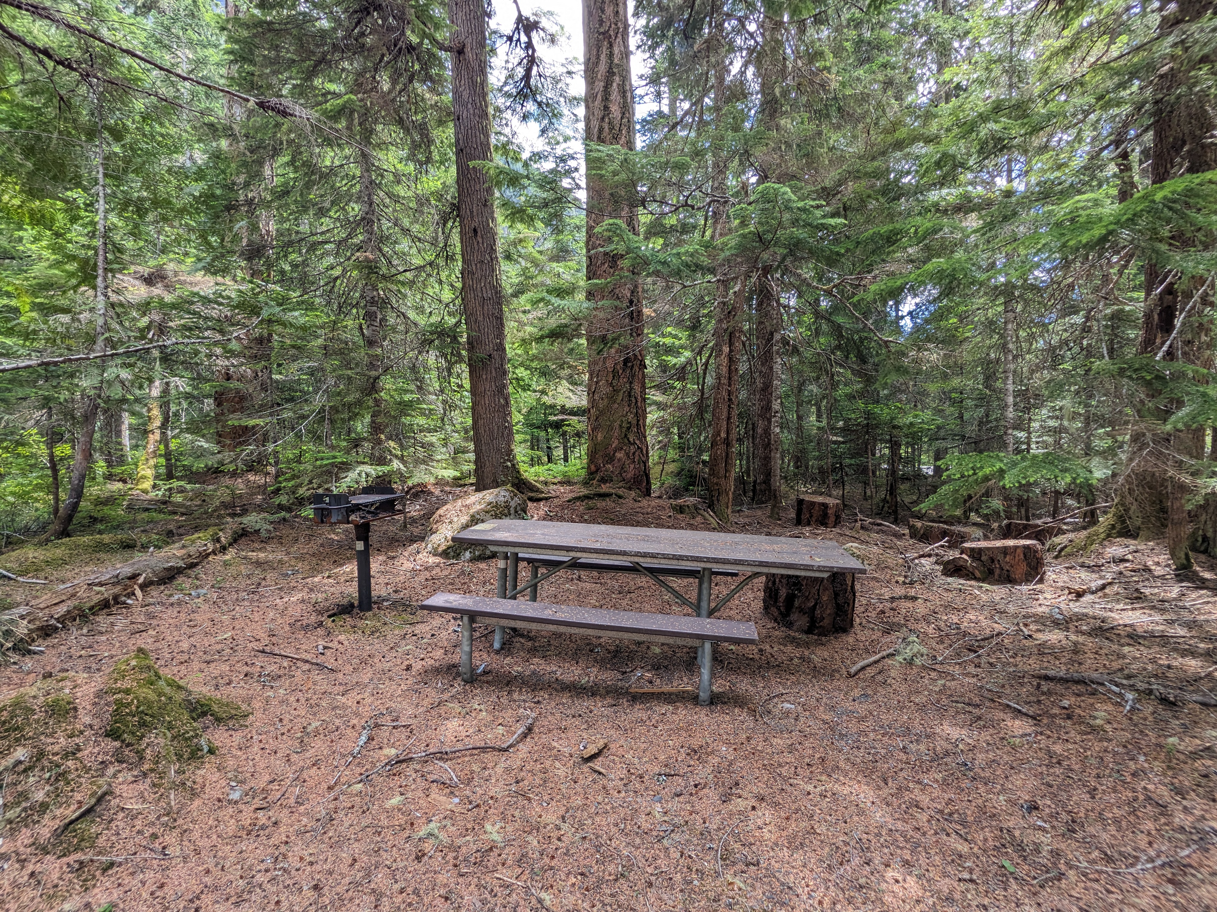Longmire Accessibility - Mount Rainier National Park (U.S. National ...