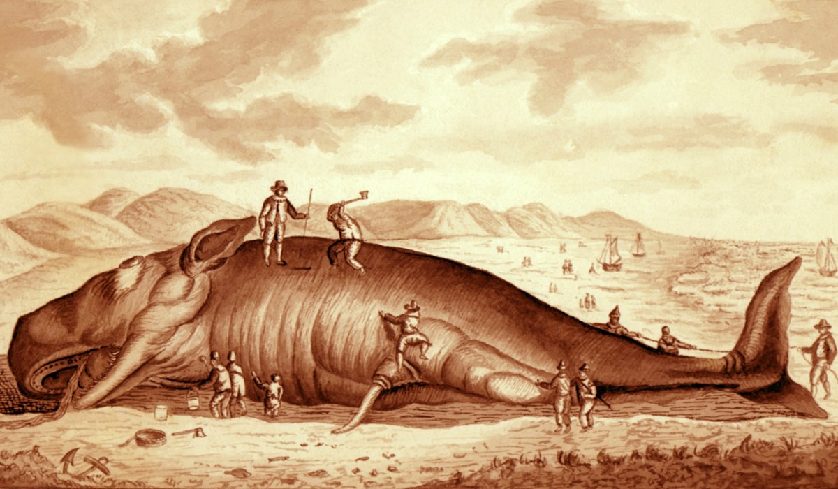 Native American History - New Bedford Whaling National Historical Park ...