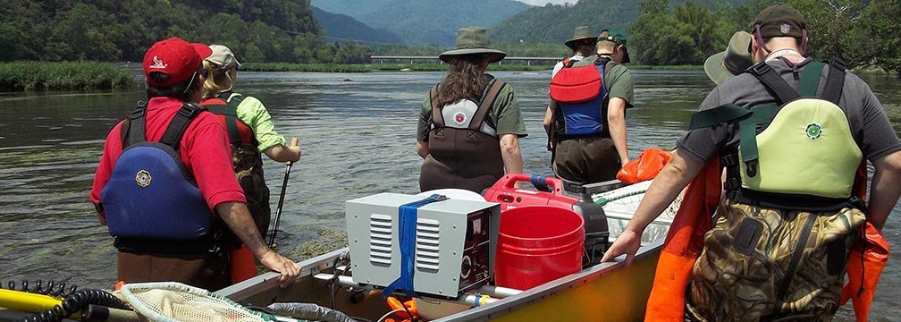 Science & Research - New River Gorge National Park & Preserve (U.S ...